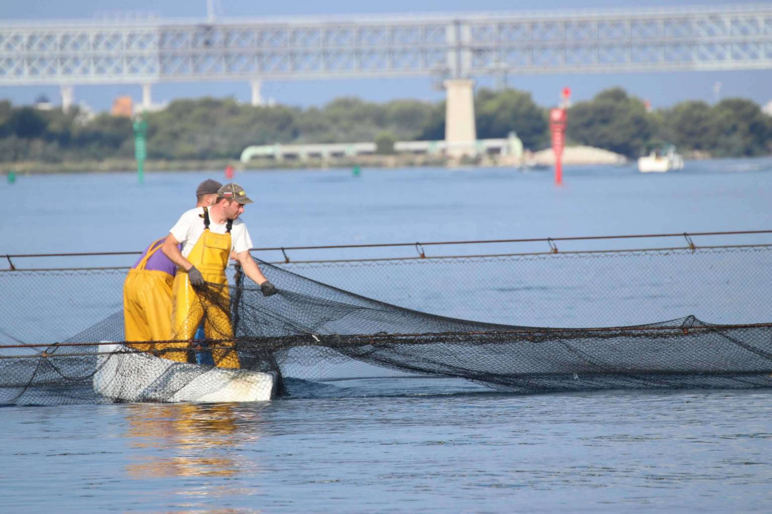 Les différents types de pêche - GIPREB - Etang de Berre