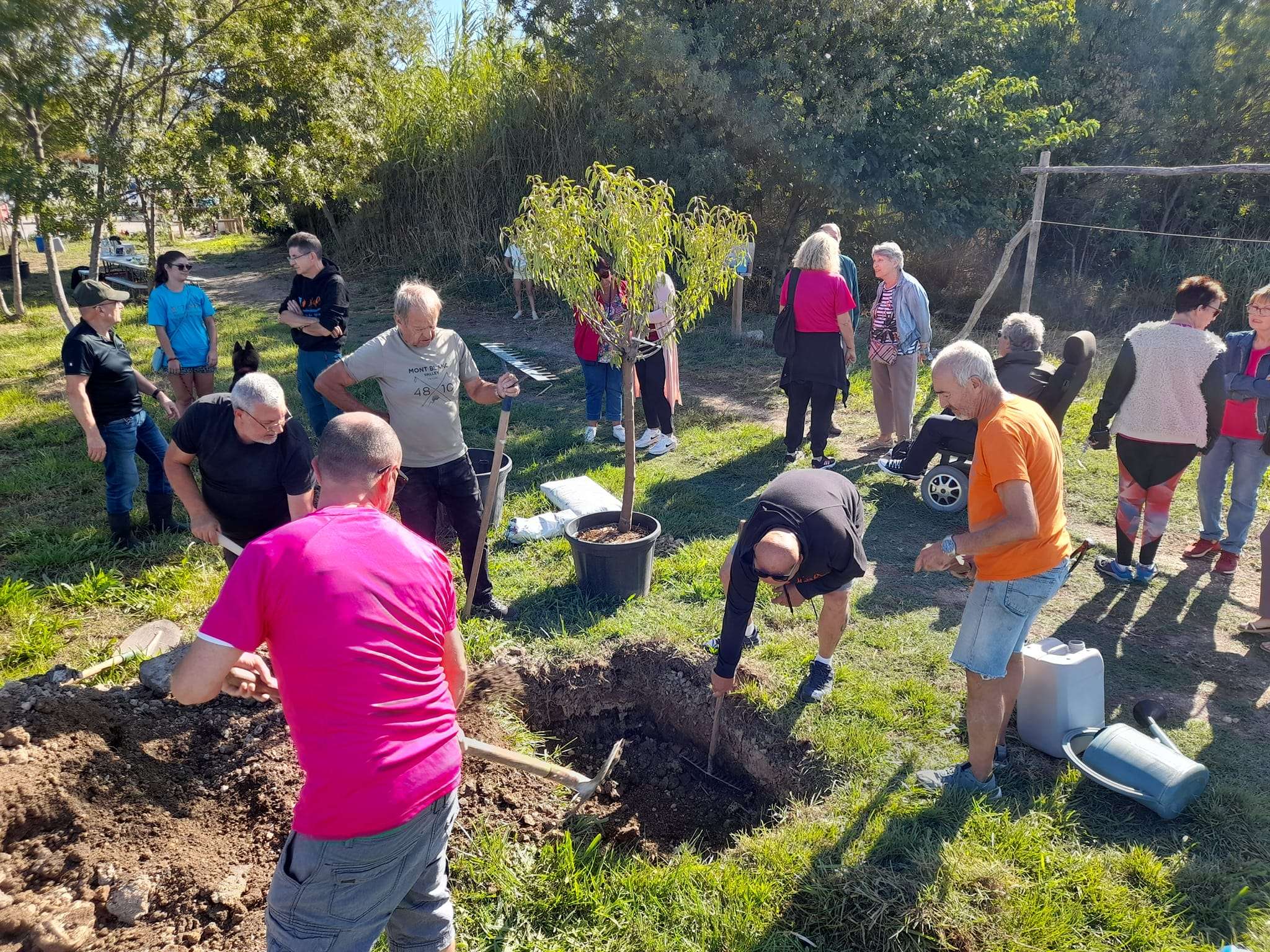 Plantations d'arbres fruitiers par Nostà mar - GIPREB - Etang de Berre