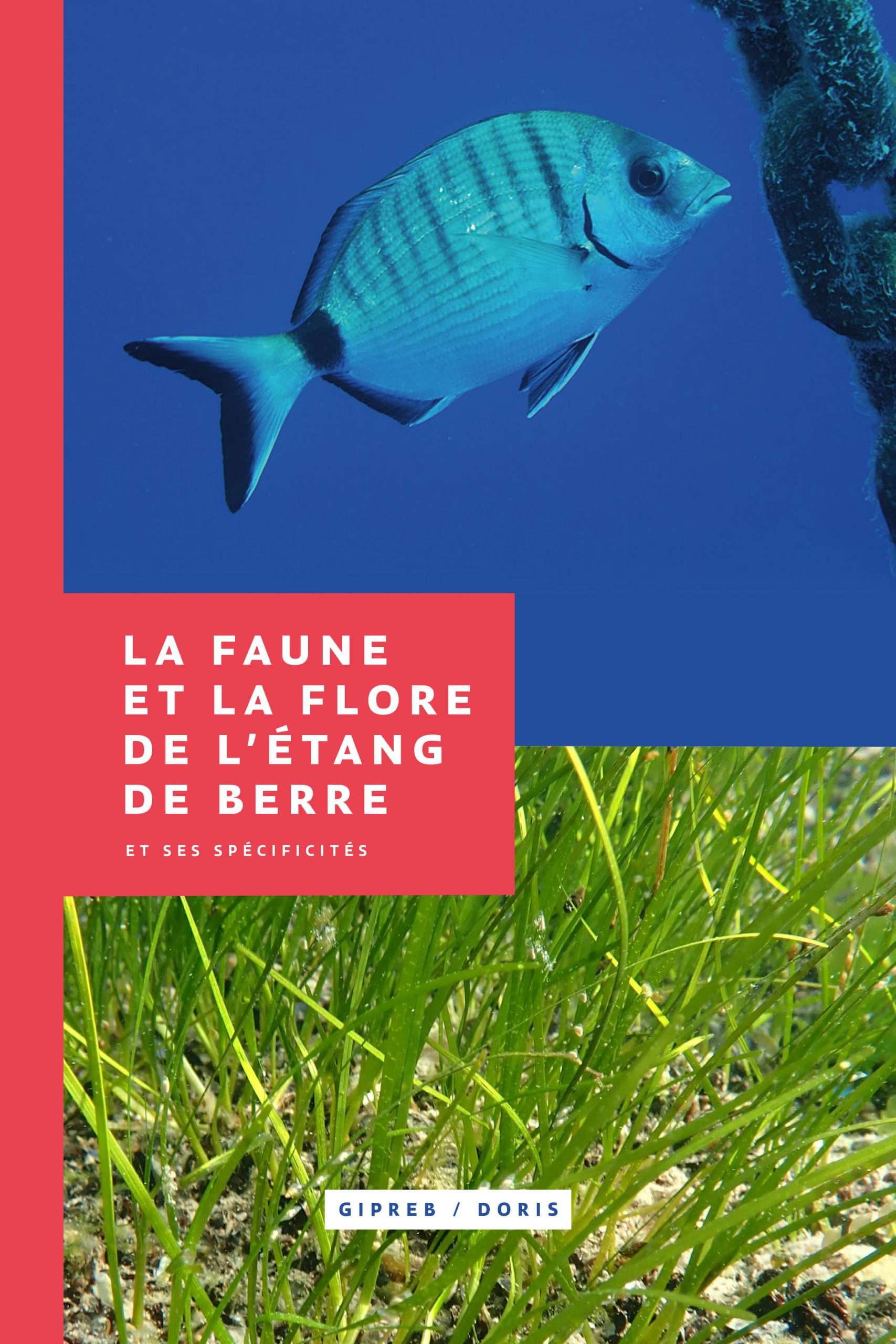 La faune et la flore, le livre ! - GIPREB - Etang de Berre
